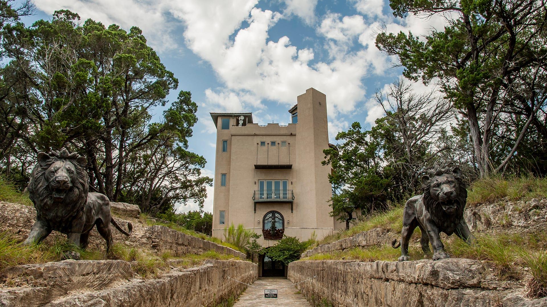 Content Library - Wizard Academy