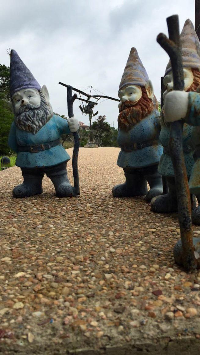 Campus Photo Gallery - Wizard Academy